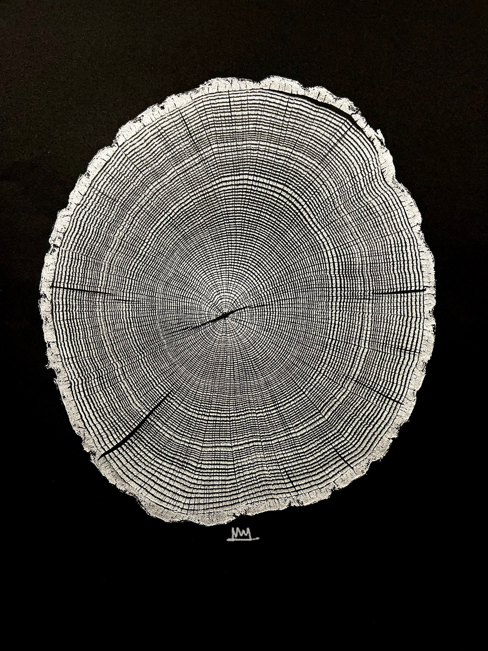 Silver Mountain Oak Tree Print – Sap Woodworks